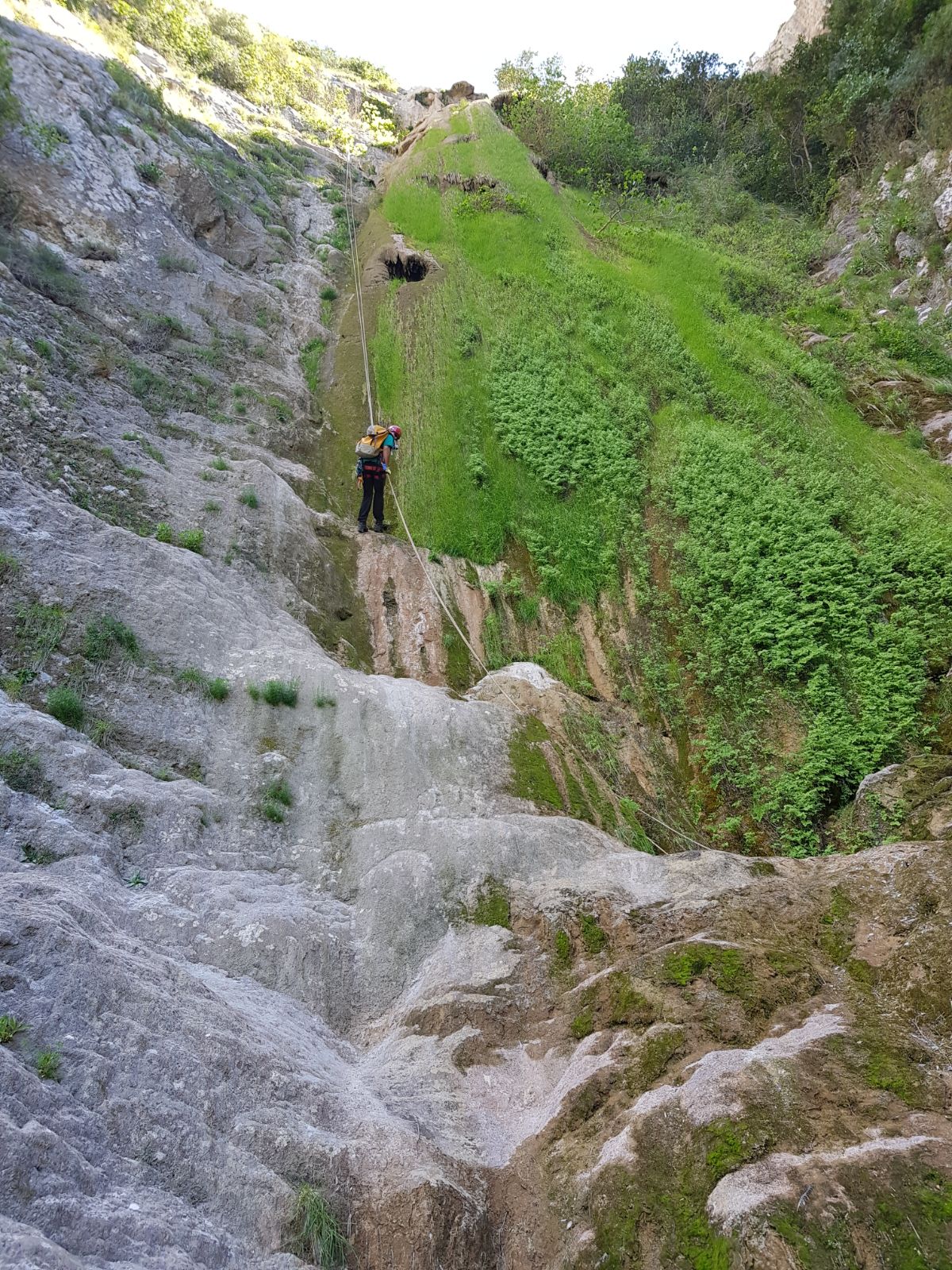 G.A.M.E.: TORRENT SALT DEL MOLINET, 2017
