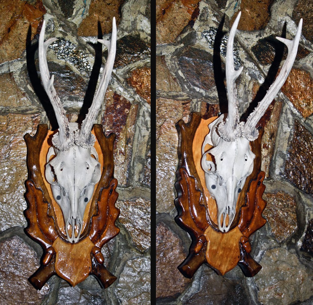 panoplii de vanatoare: trofee de vanatoare, coarne