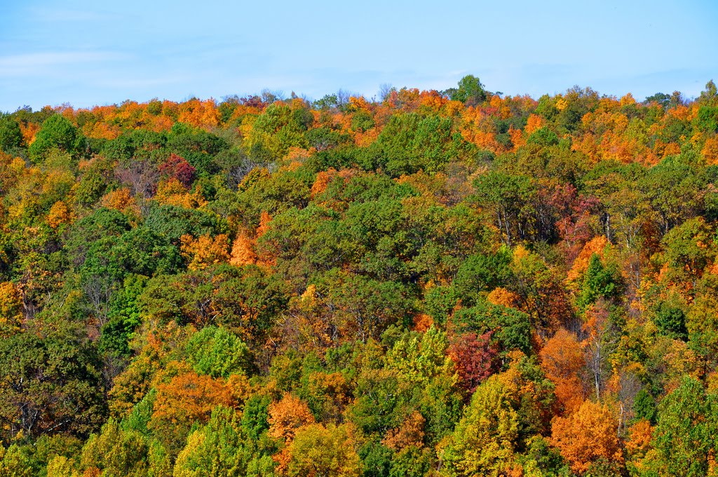 Shenandoah River, Blue Riidge Mountains and Northern Virginia Horse ...