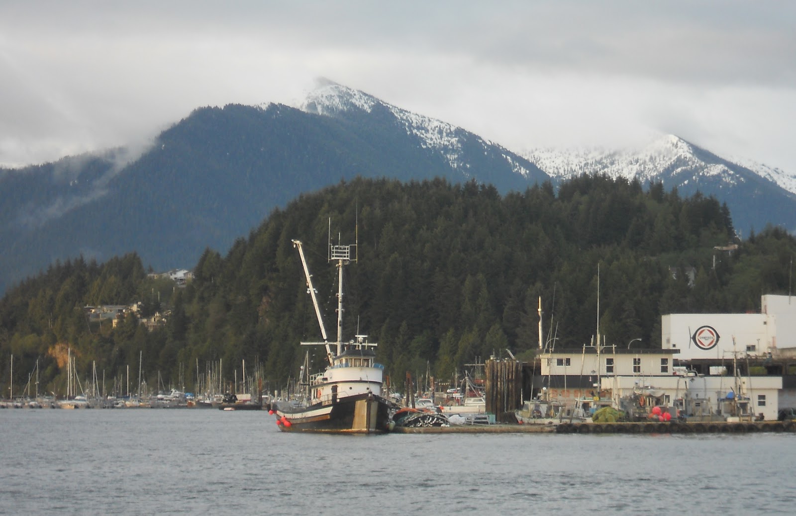 Sea Lurchin: Prince Rupert to Ketchikan, May 17 – May 19; Back in the USA