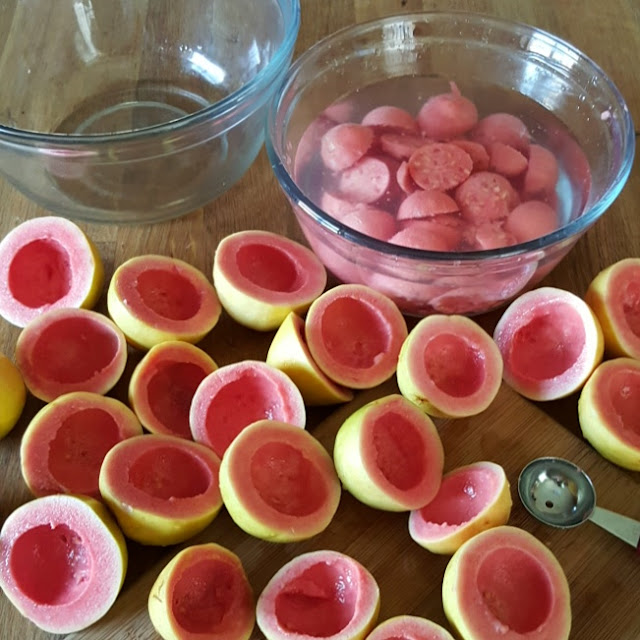 Homemade Guava Paste