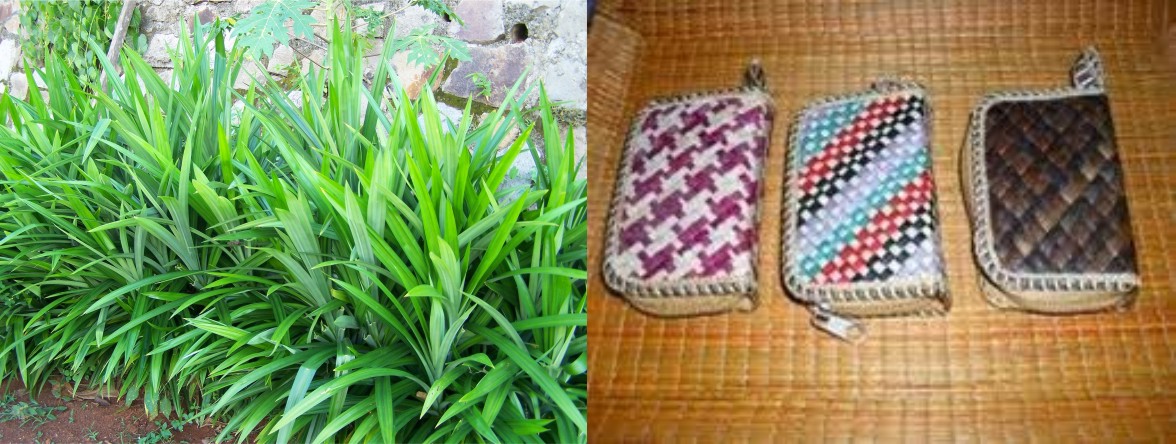 12+ Kerajinan Tangan Dari Serat Eceng Gondok Dapat Dibuat, Spesial!