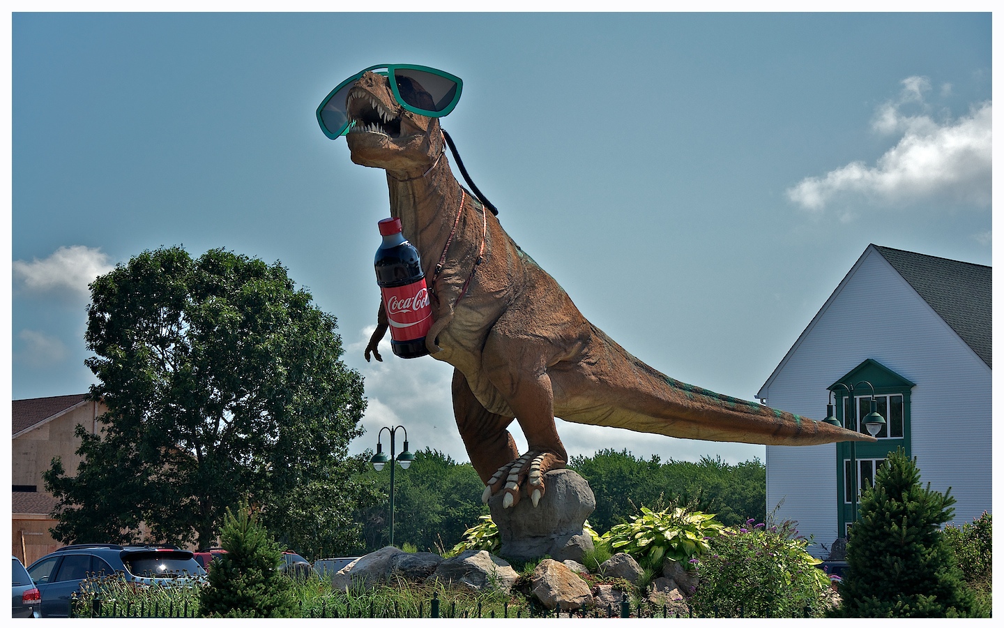 Connecticut Diaries: Cool T-Rex