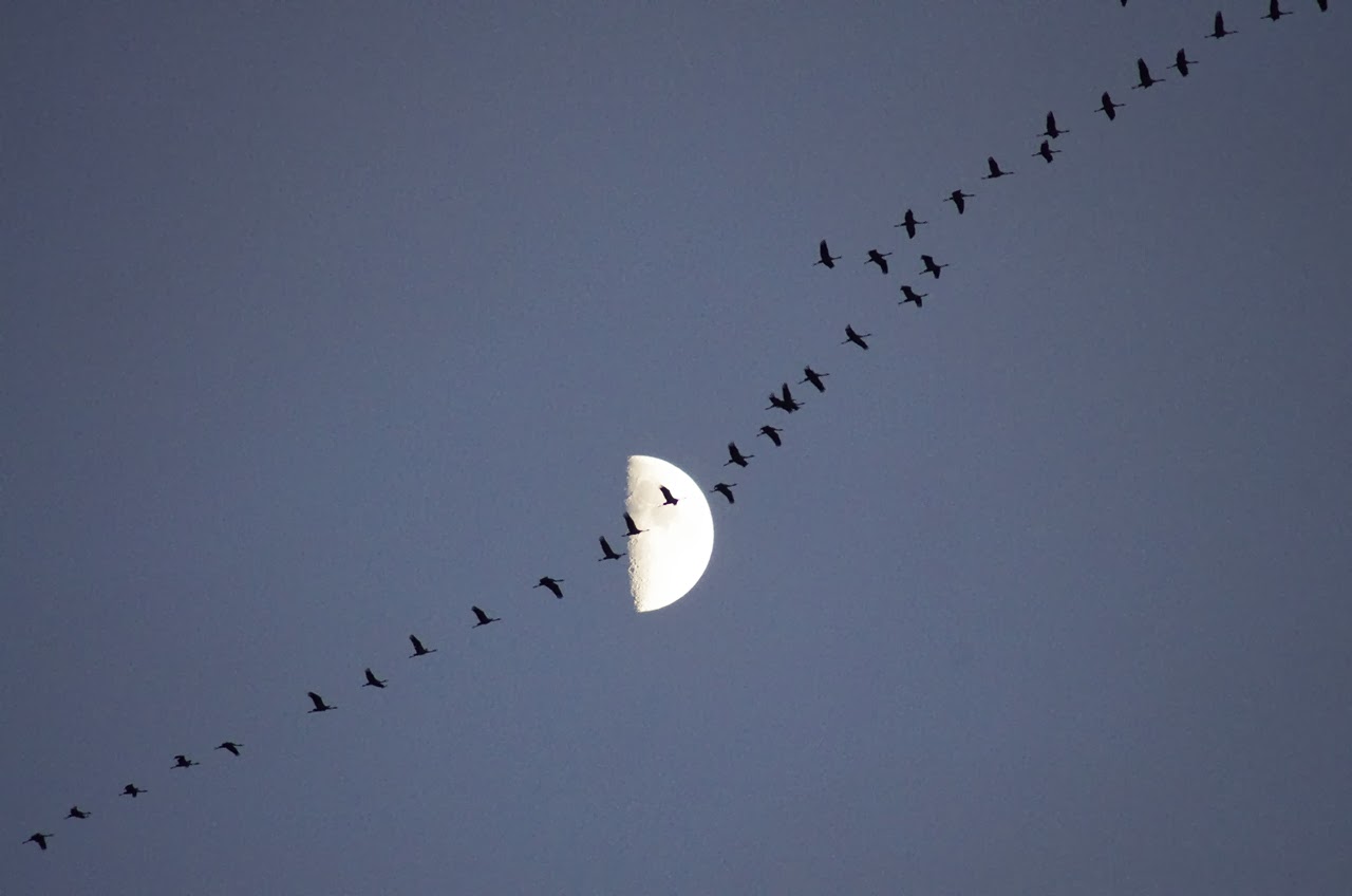 Heuchelheimer Himmelsfähnchen