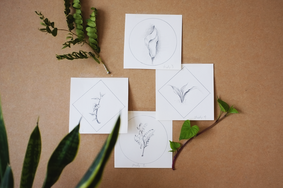 How to: Geometric plants drawing studies - Alena Moon