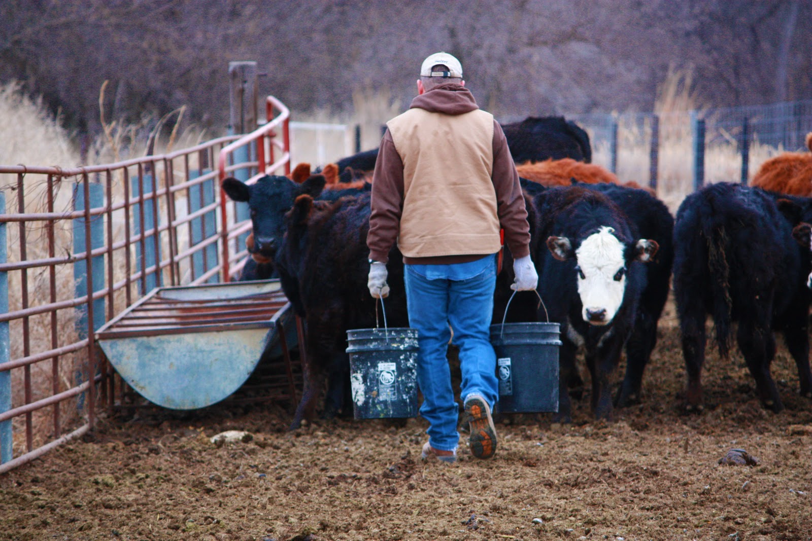The Farmer's Wife: {Farm Life}