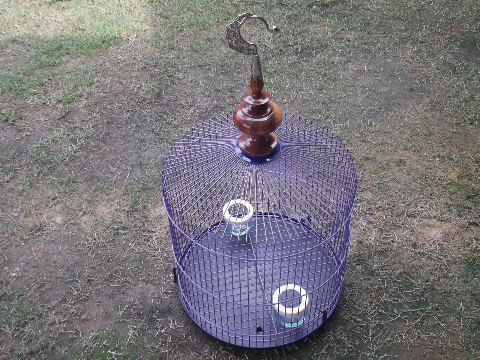 Sangkar untuk merbok - RM50.00 | Amat Terkukur