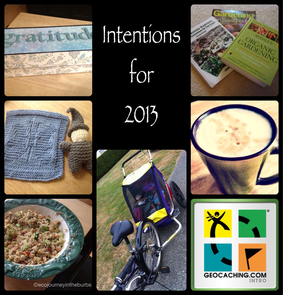 Eco Journey in the Burbs: New Year Intentions