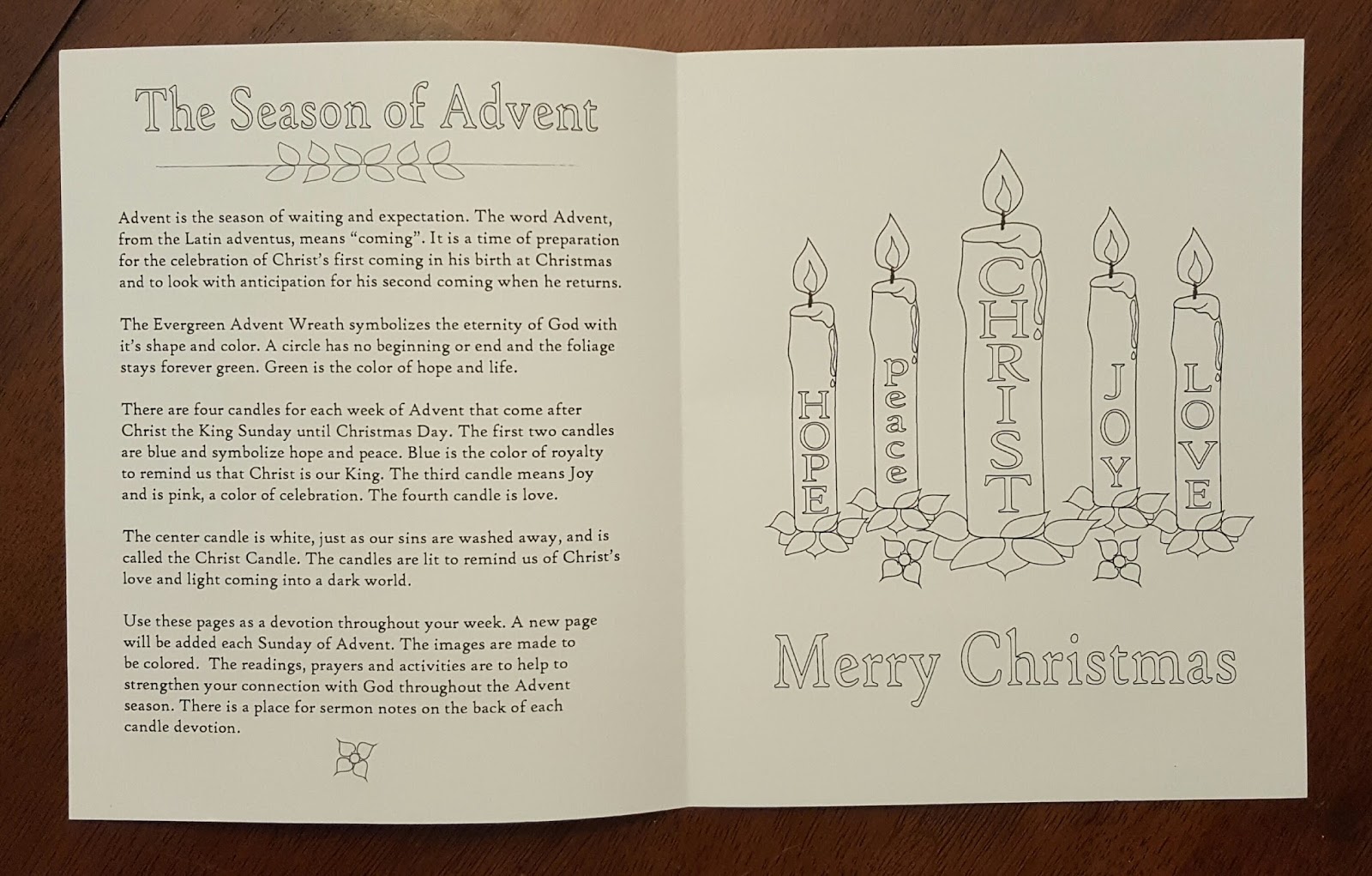 Unconventionally Steadfast: Advent Devotion Booklet