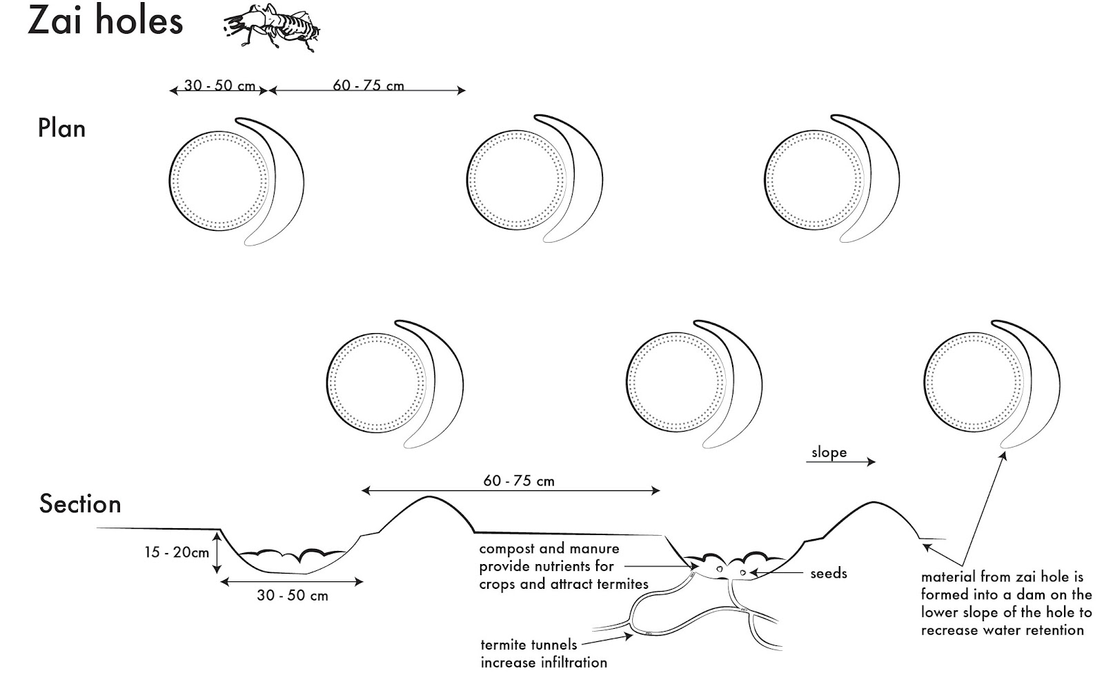 Kracken$cape: Zai Holes