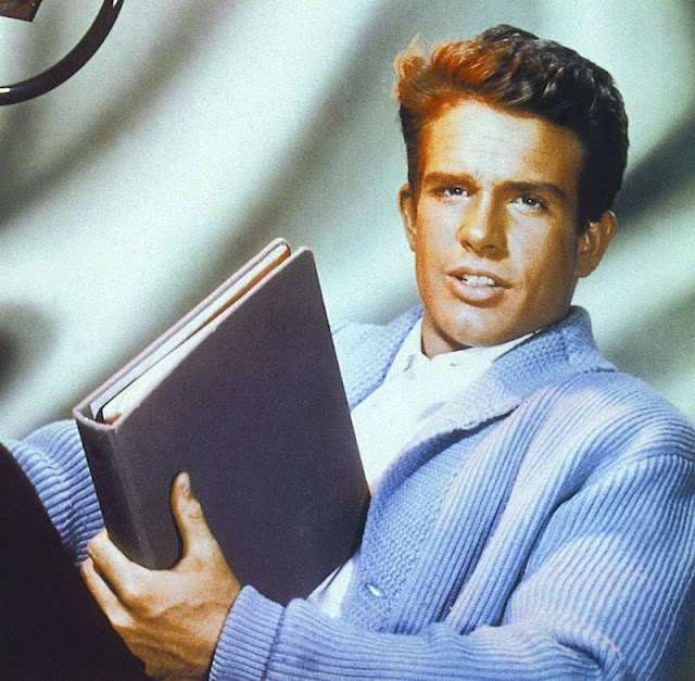33 Gorgeous Photos of Warren Beatty in the 1950s and 1960s ~ Vintage ...