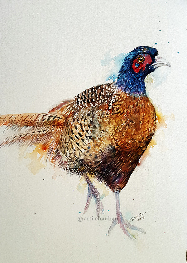Arti's art -- Life as I see it: Pheasant Watercolour Painting