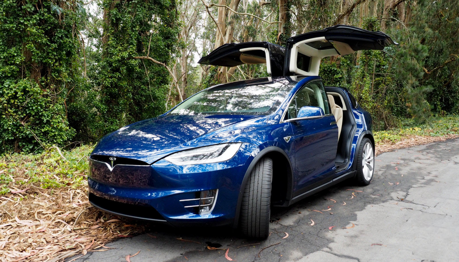 Tesla Model X Performance