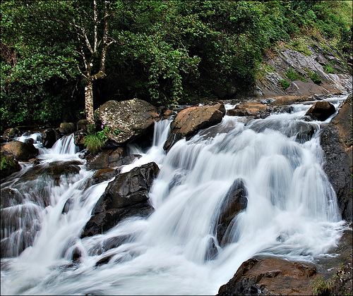 Coorg Tourism | Places to Visit in Coorg | Coorg India