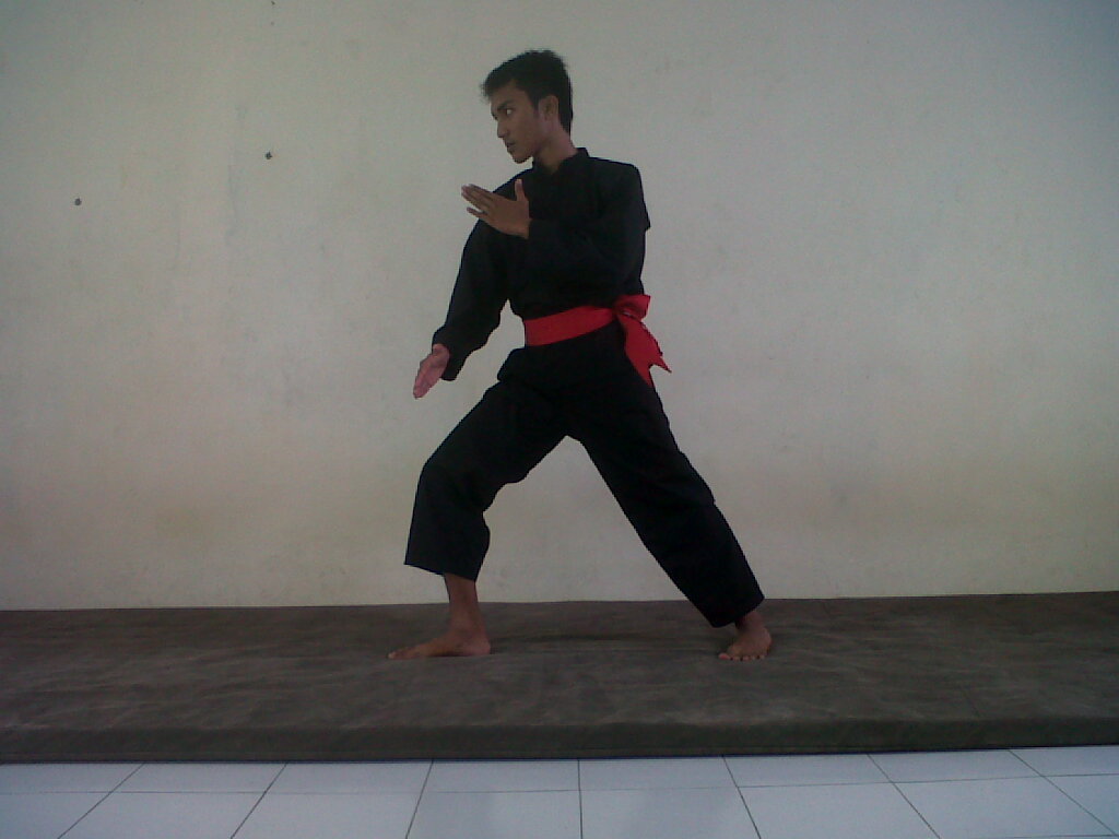 PENCAK SILAT DASAR: TEKNIK DASAR DALAM PENCAK SILAT