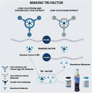 Zirotu Winners: TRI-FACTOR™ FORMULA