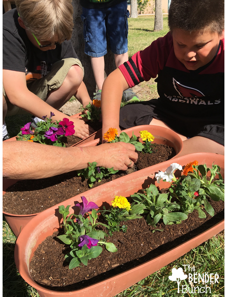 The Bender Bunch: 11 LAST MINUTE EARTH DAY ACTIVITIES