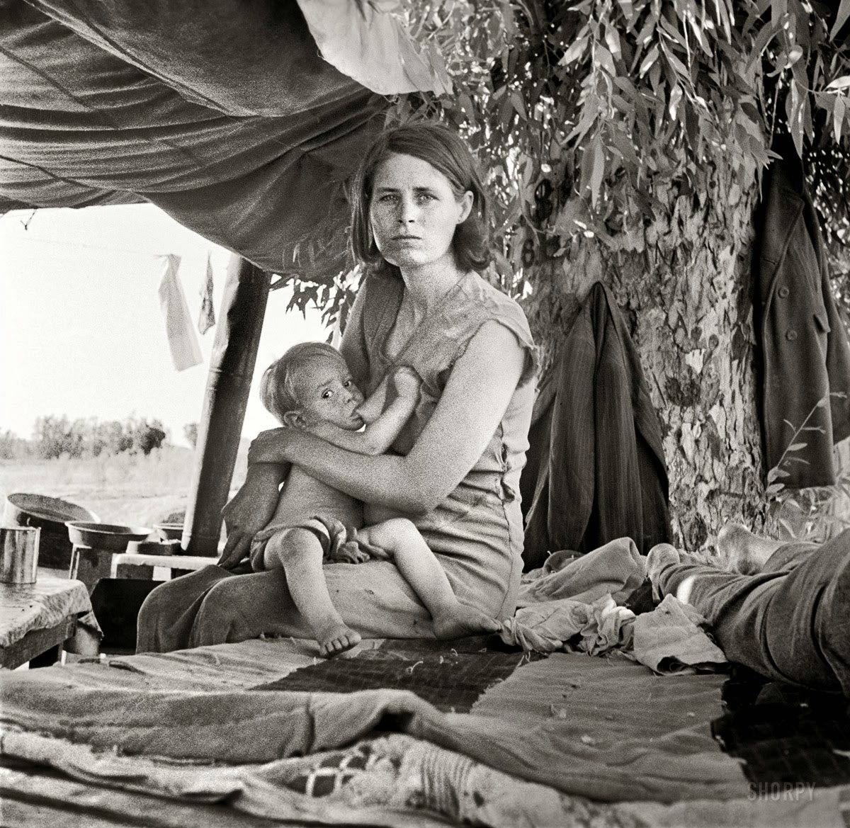 MAXWELL CC: My favorite photographer:Dorothea Lange