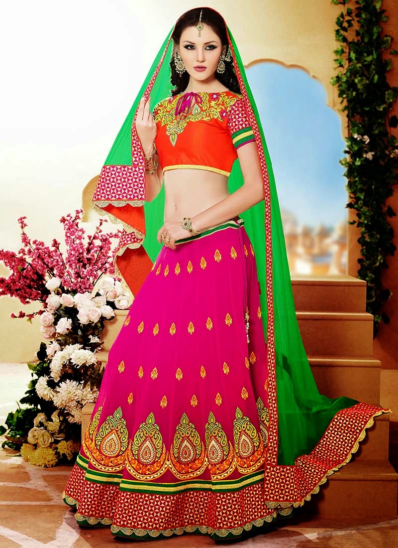 Lehenga Choli Saree Designs Blouse Designs 2014 Style Saree Choli ...