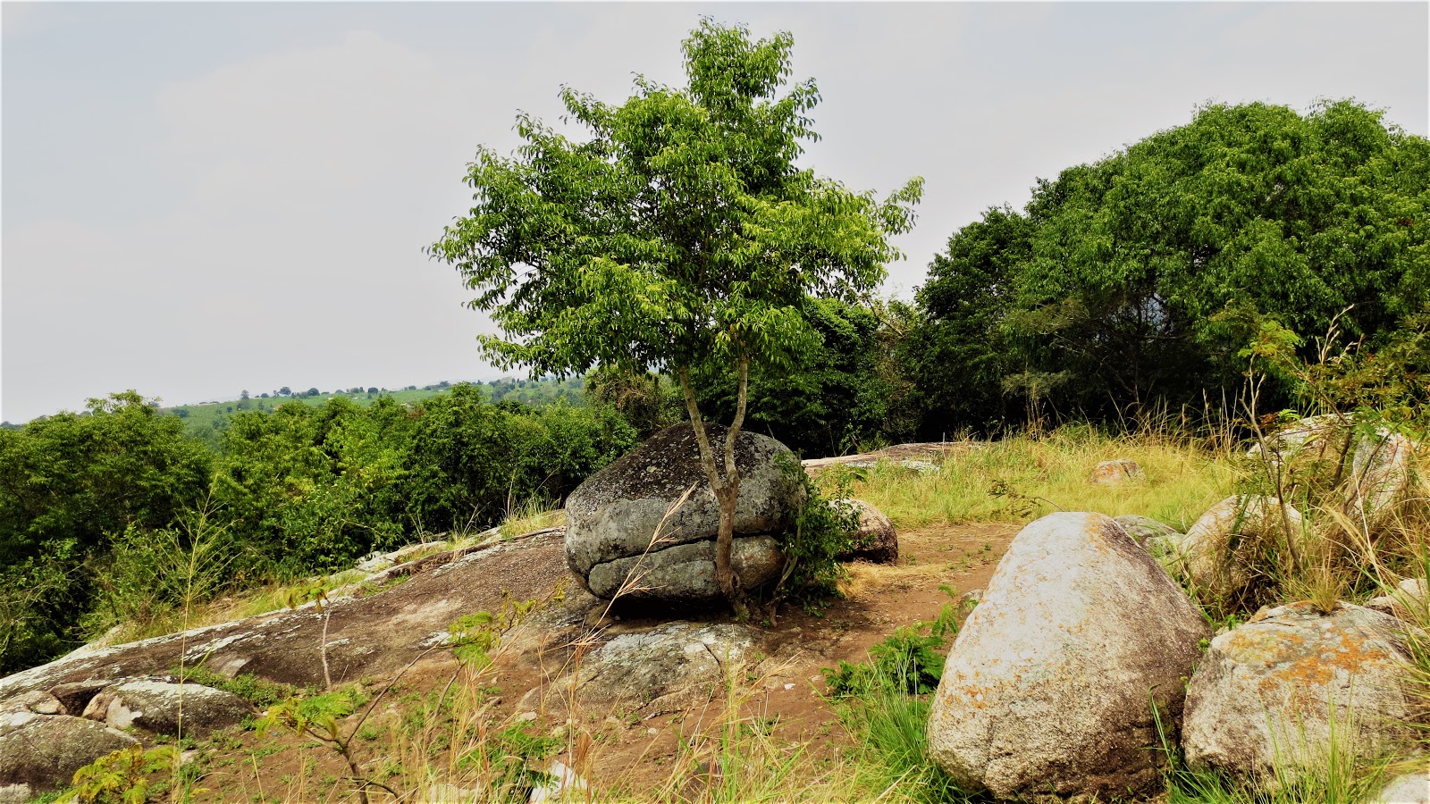 Welcome: Uganda - Fourth week