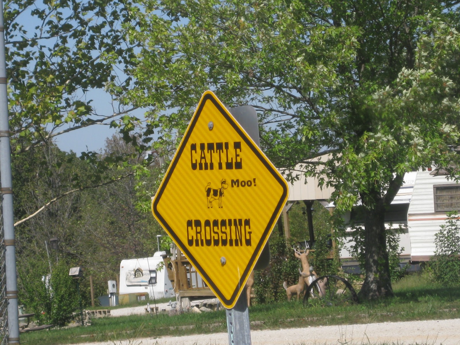 Sister Brooke Barnum