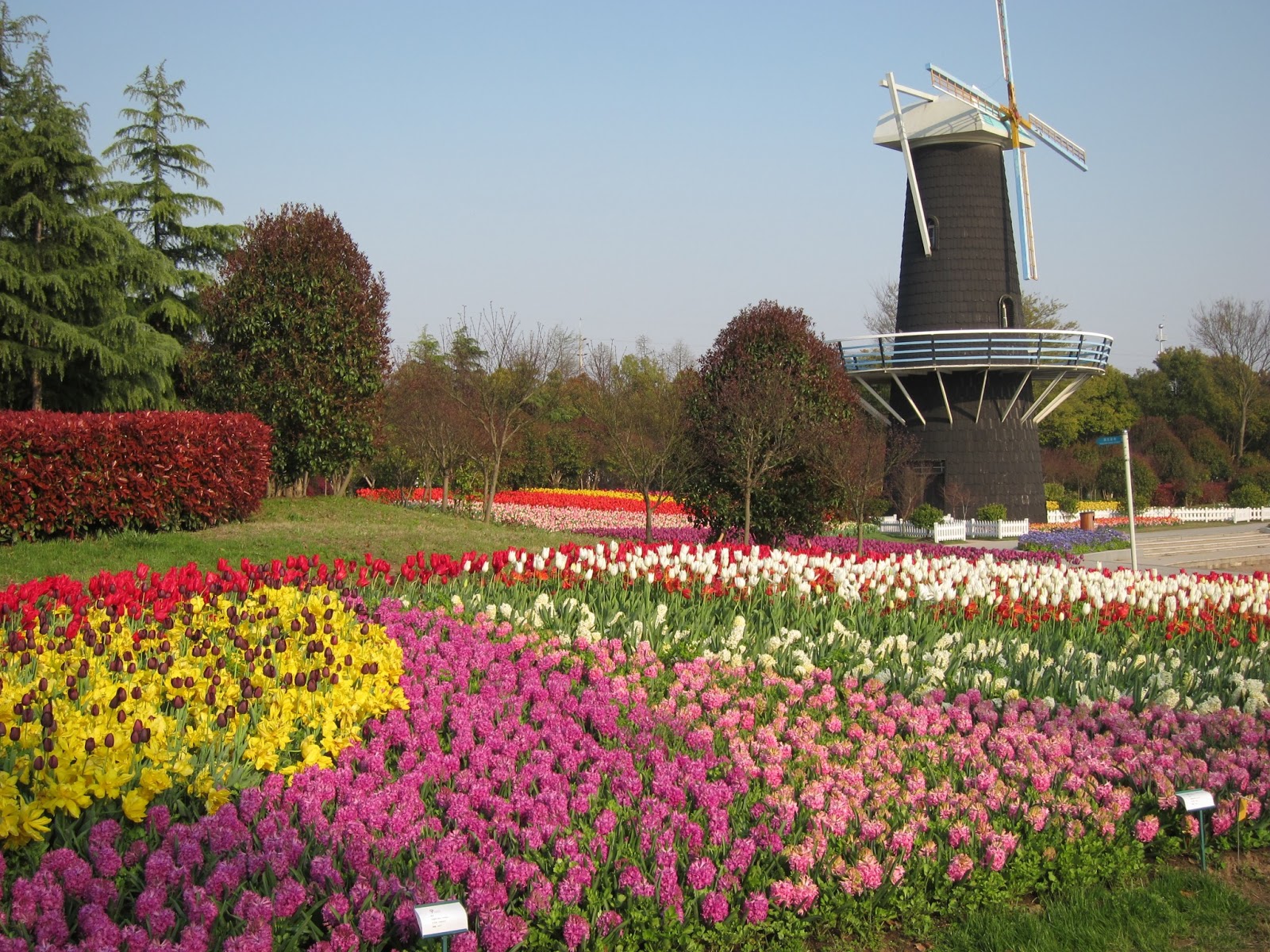 Shanghaied Bob: Shanghai Flower Port