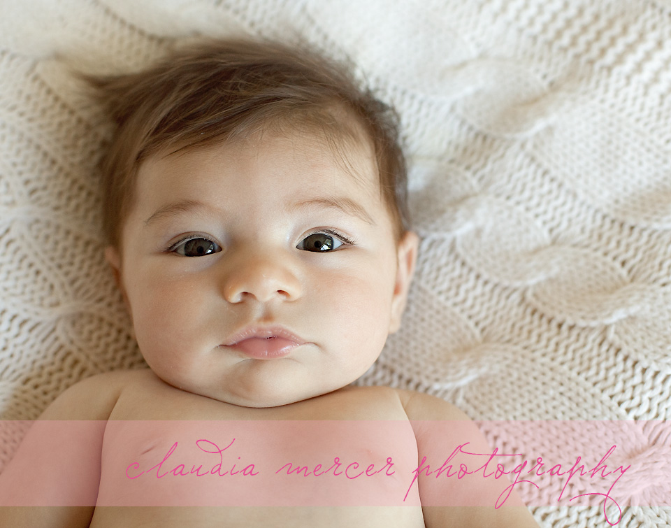 claudia mercer photography: Today I photographed beautiful 11 week old ...