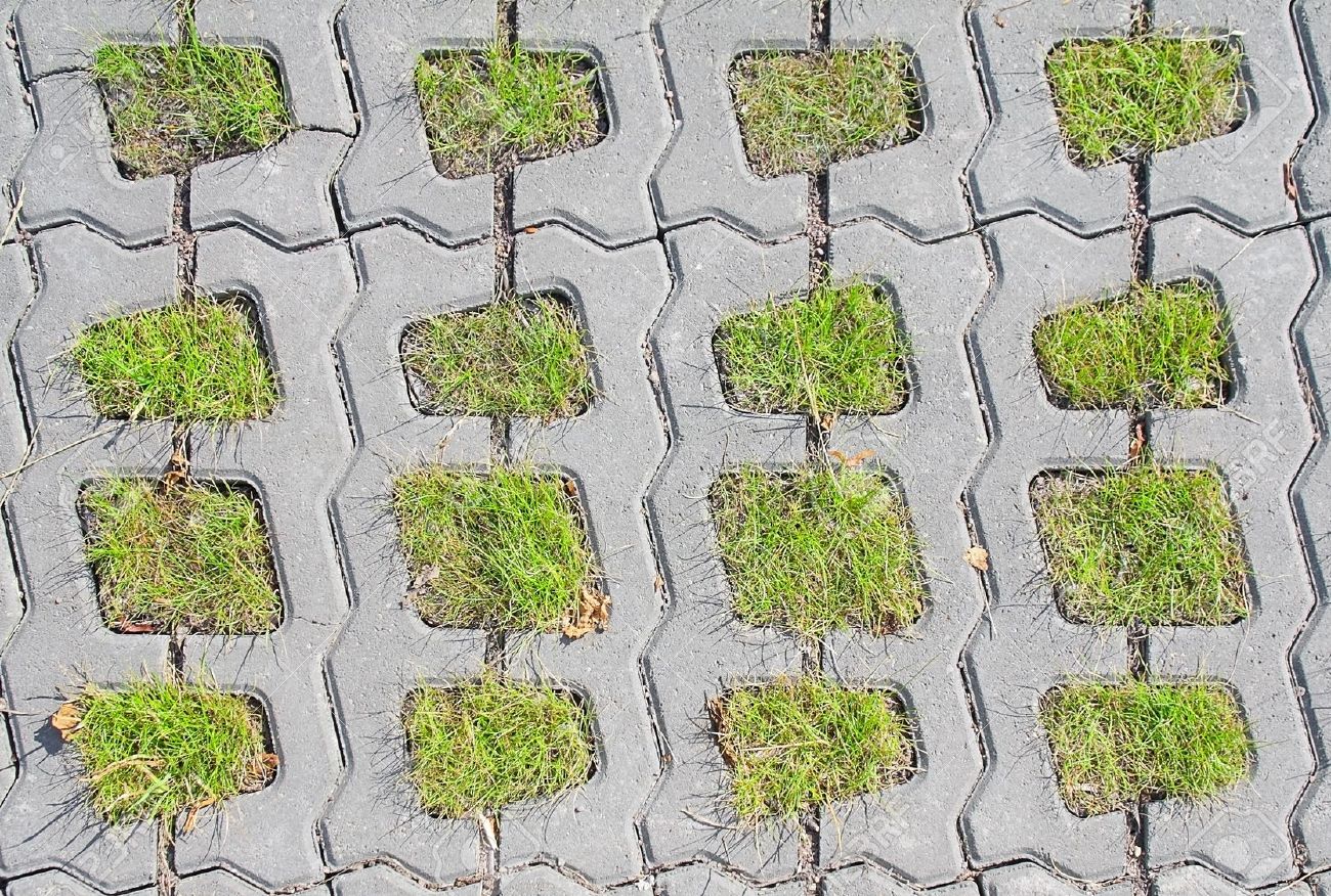 Design Rumah Idaman: Kombinasi Paving Block Dengan Rumput Untuk Halaman ...