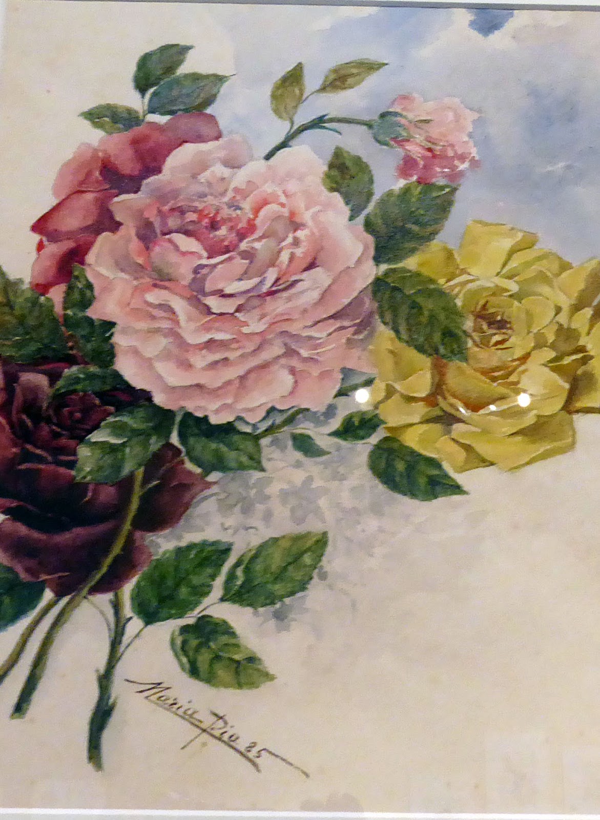 Horta Biológica/Jardim Mediterrânico/Plantas Aromáticas: Curiosidades ...