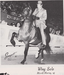 The American Saddlebred: 7/19/15 The Dodge Stables Dispersal 40 years later