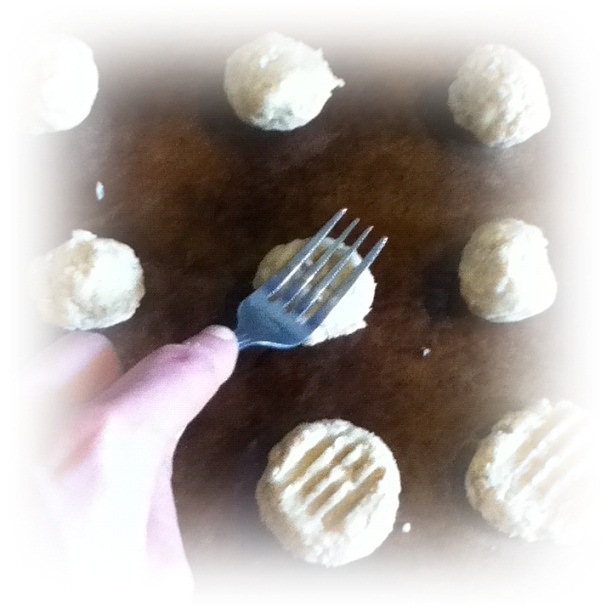 Bimbling Through Life: Yummy Simple Biscuits!