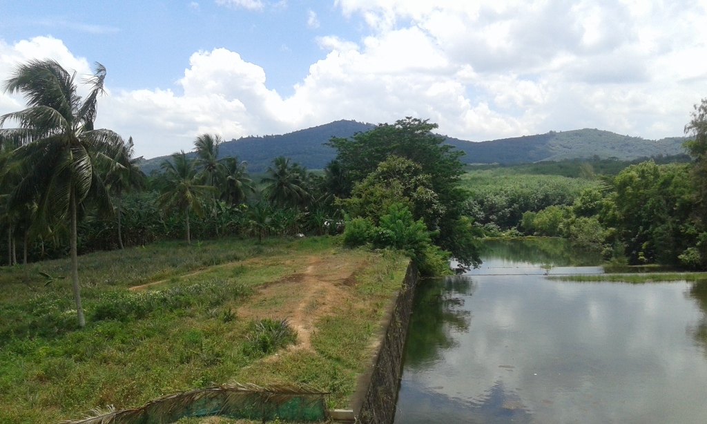 Tamilnadu Tourism: Chittar Dam – 1, Pechiparai, Kanyakumari