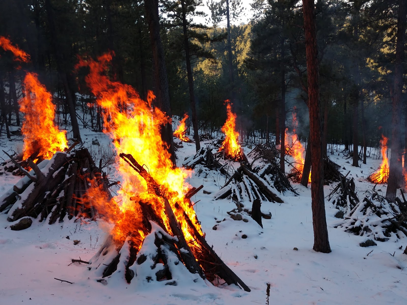 Great Plains Fire Information
