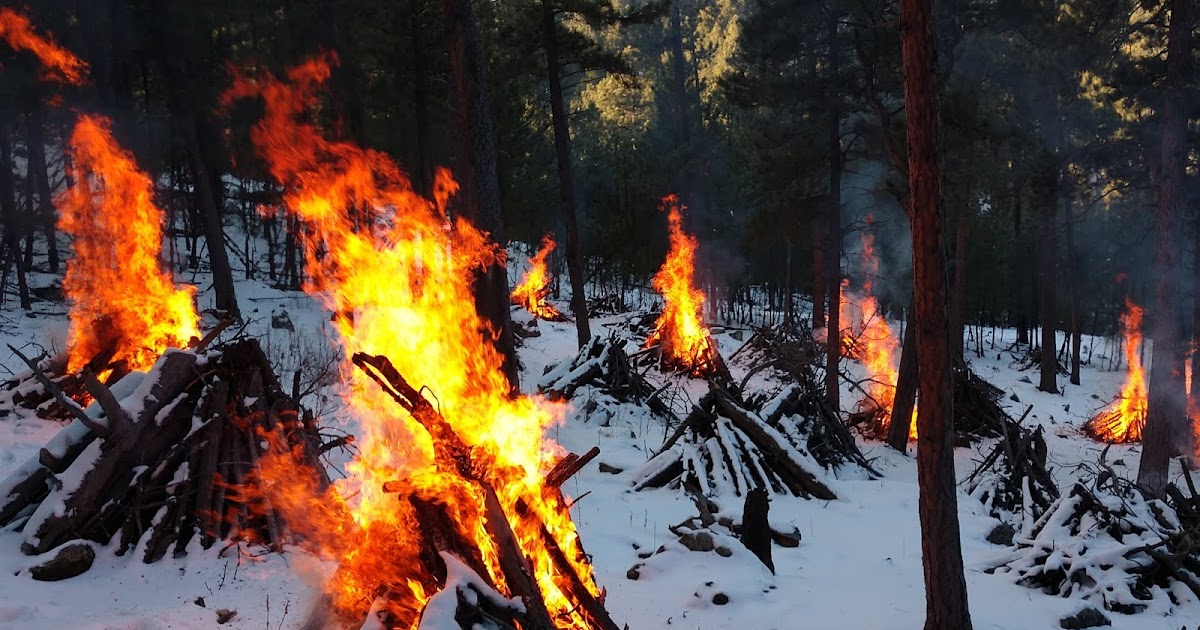 Great Plains Fire Information: Slash Pile Burning south of Keystone 1 ...