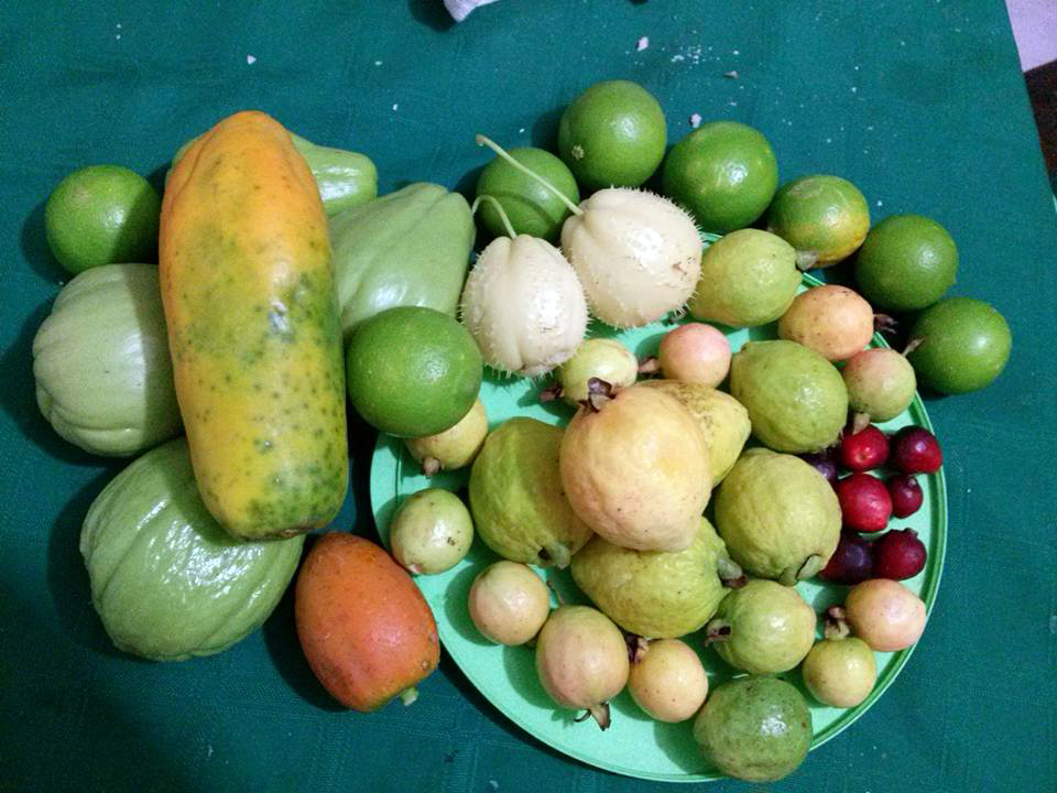 Jaime Ramos Méndez: Frutos del huerto en Jacona de Plancarte, Michoacán ...