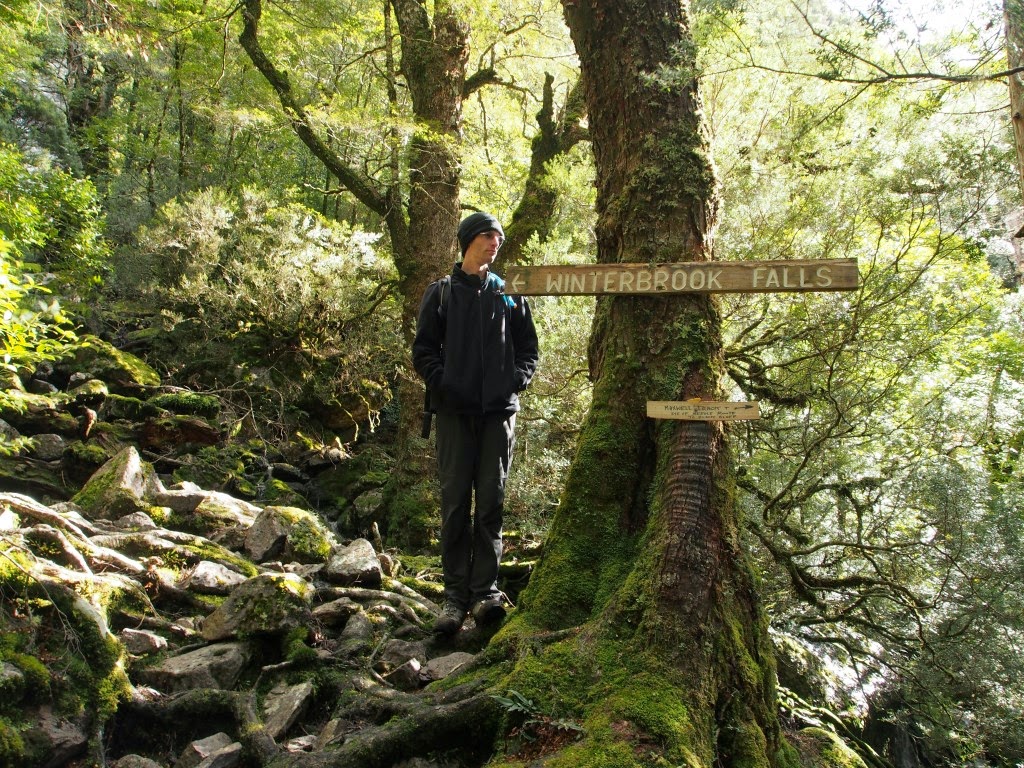 Thirty-Four Tetras: Winterbrook Falls and Black Bluff