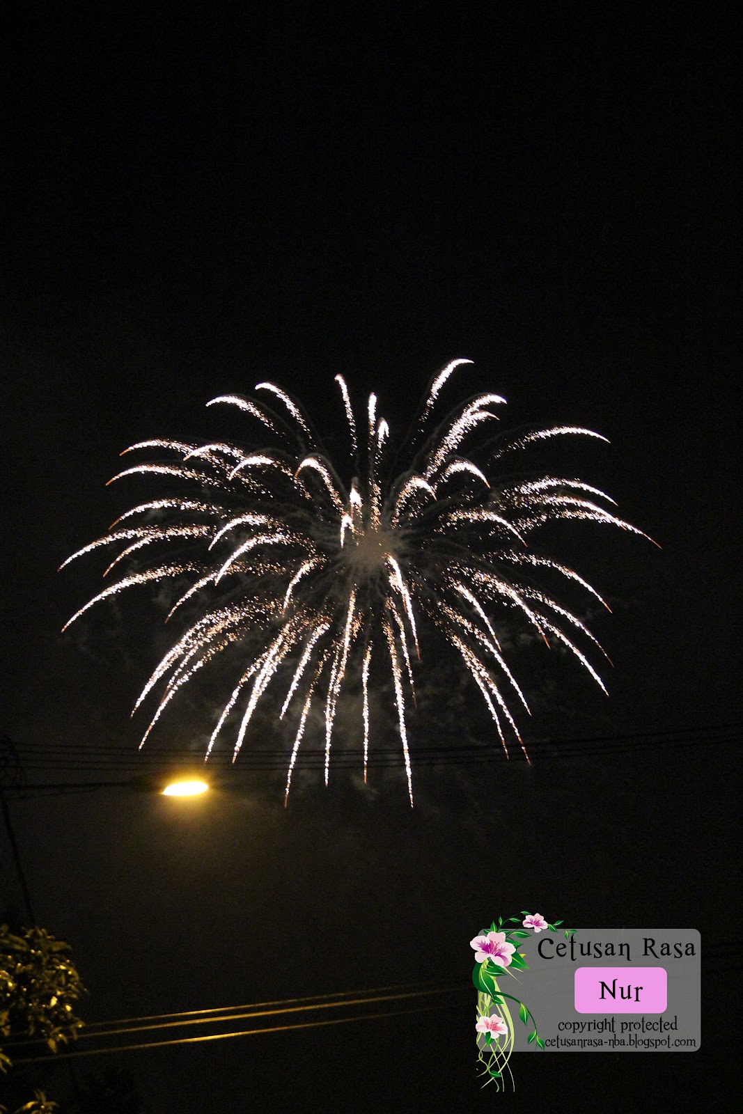 Cetusan Rasa: Percikan Bunga Api