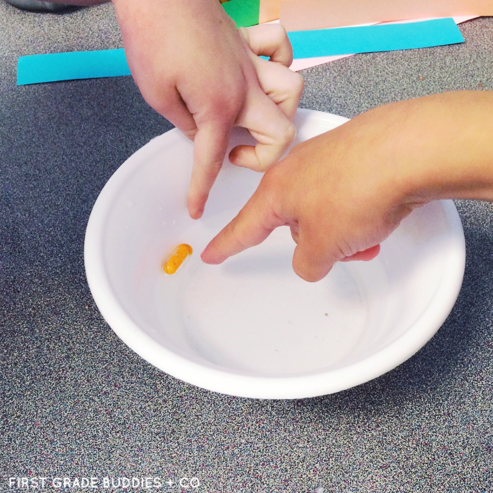 Exploring Animal Habitats | First Grade Buddies