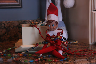 Maynard Mayhem: Jingle (Our Elf on a Shelf)