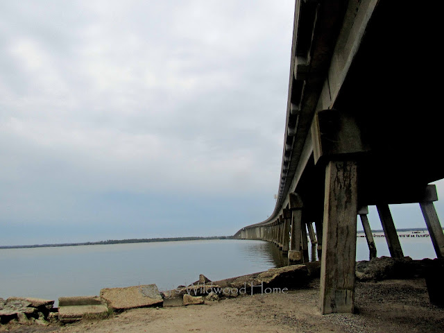 Betsy's Wildwood Home: water shots