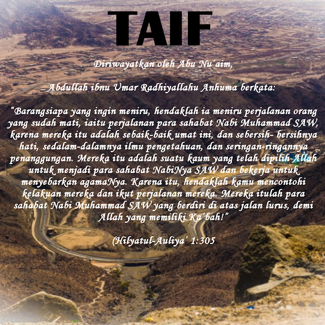 Times Travel & Explorer Sdn Bhd: TAIF