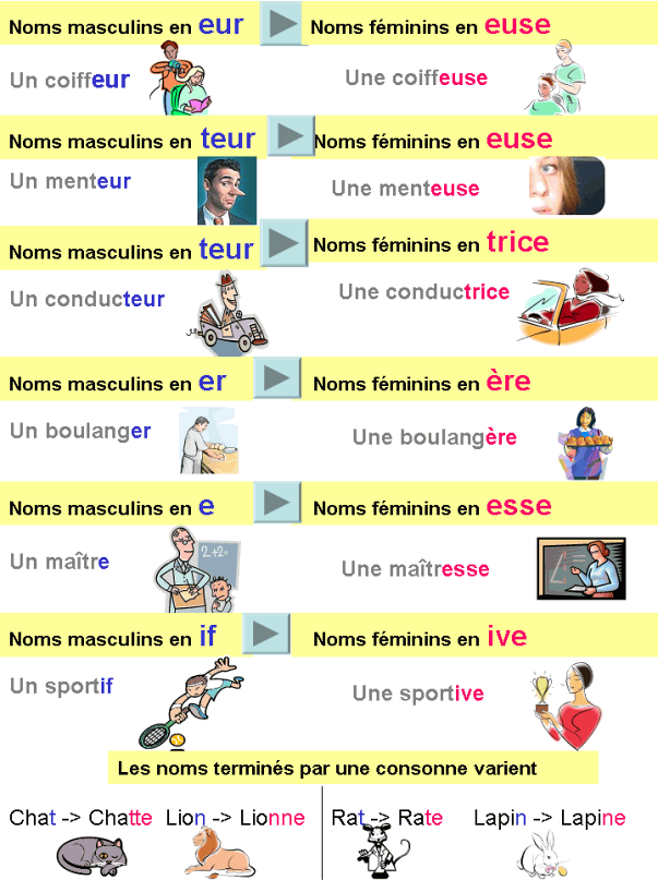 Le français pour tous: Leçon 2: La formation du féminin