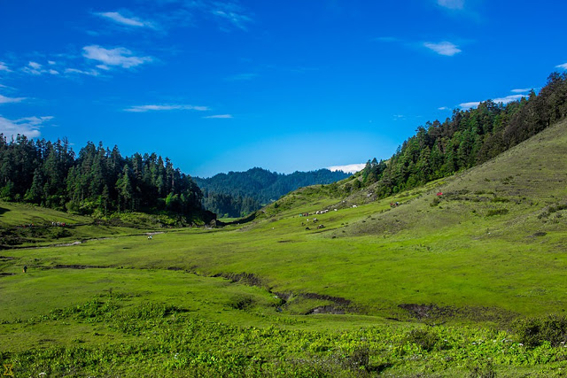 Wow ! Khaptad (Photo feature)