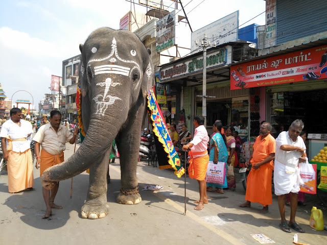 Festival Time! - ARUNACHALA GRACE