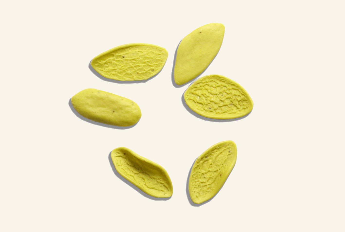 Les pâtes alimentaires: Foglie di carciofo