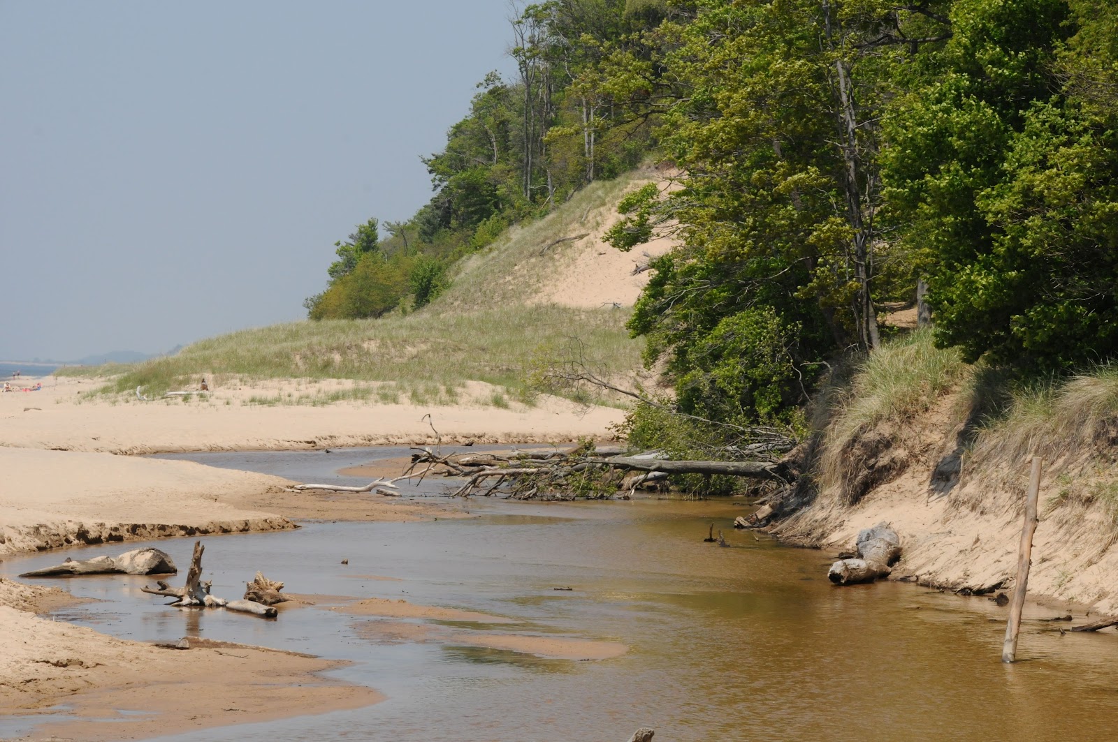 Peace in a Tin Can: P.J. Hoffmaster State Park