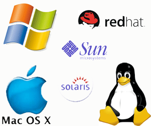 sistemas operativos de red - Mind Map