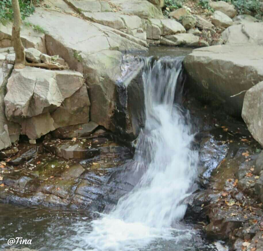 PARC MEDIAMBIENTAL DE GUALBA