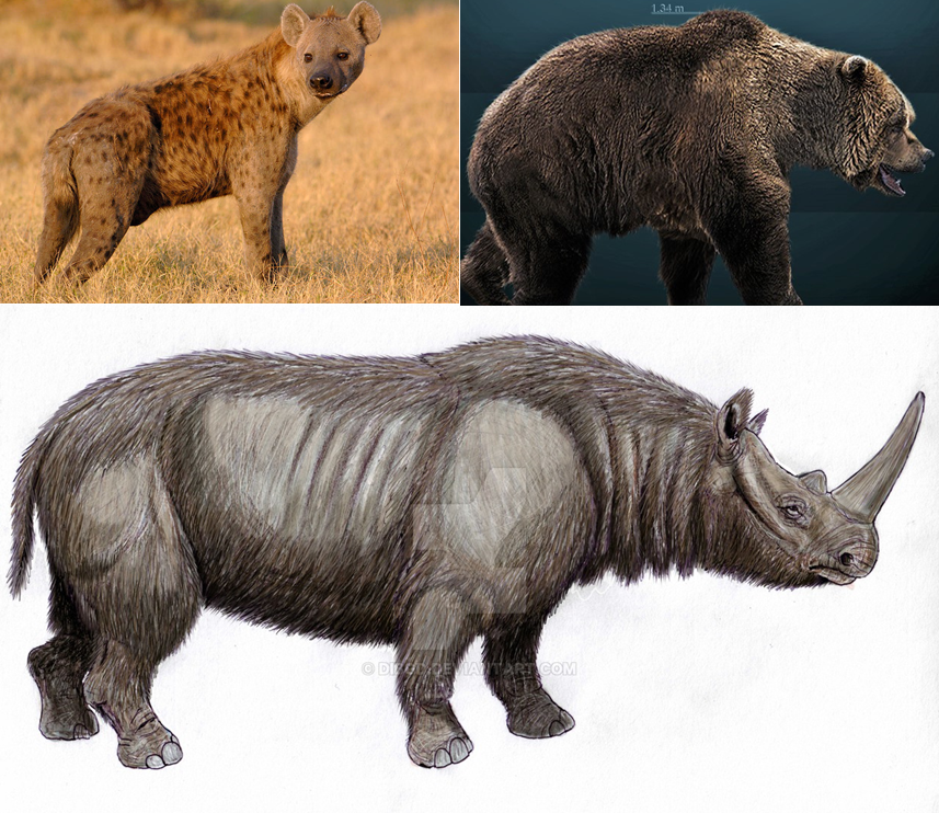 Walking on the wild side: interglacial europe: December 2016