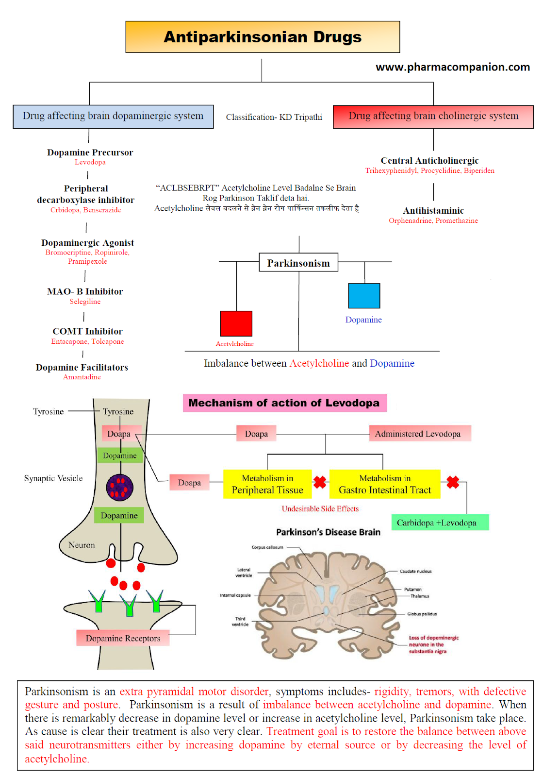 PHARMACOMPANION: ANTI PARKINSONISM DRUGS AND MOA IN ONE PAGE